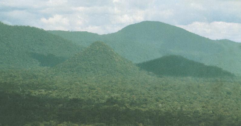 Você acredita que existiram pirâmides na Amazônia? - Portal Amazônia