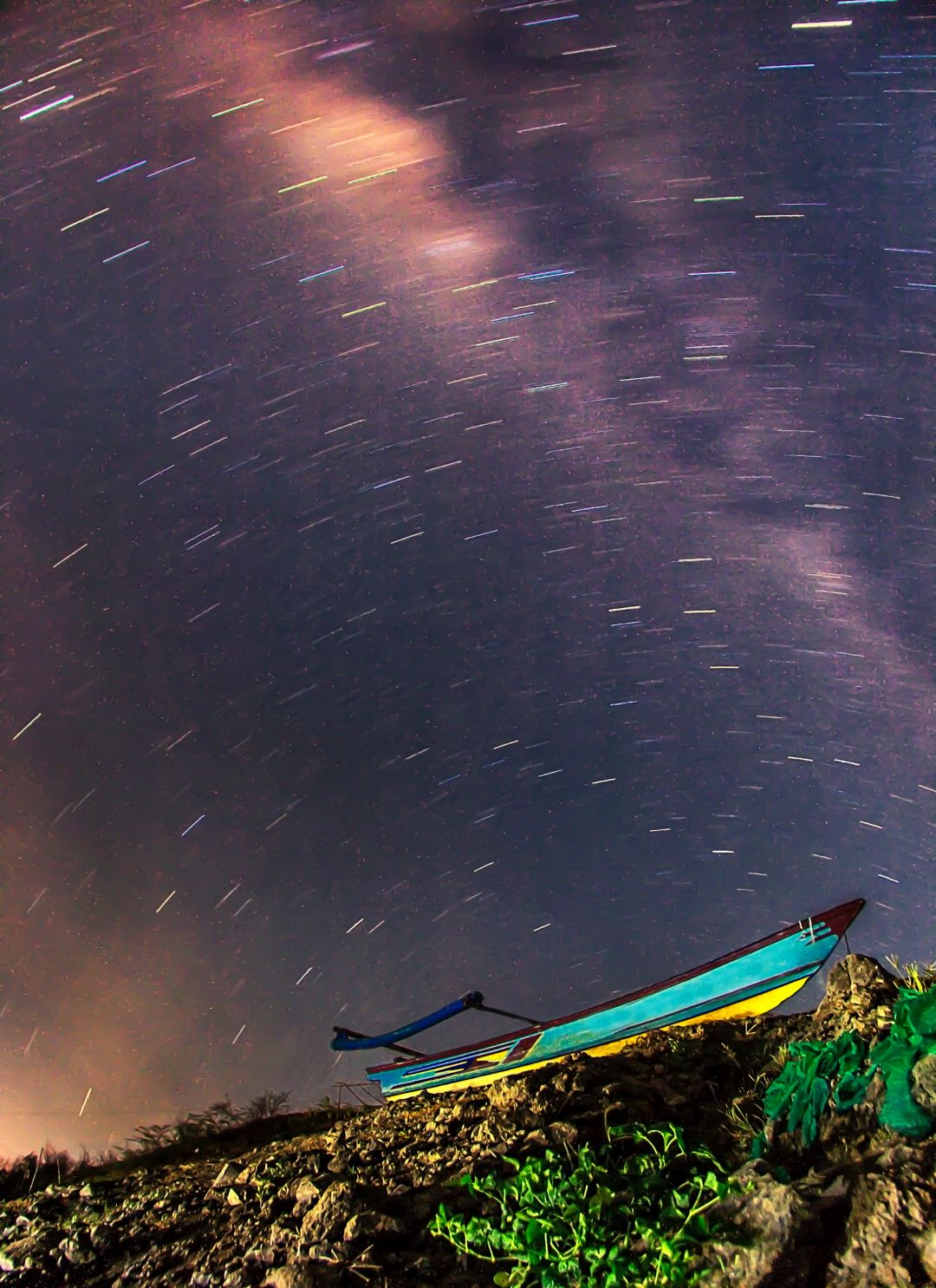 Catita, pomba-lesa, osga e mais: confira qual é o seu signo no ...