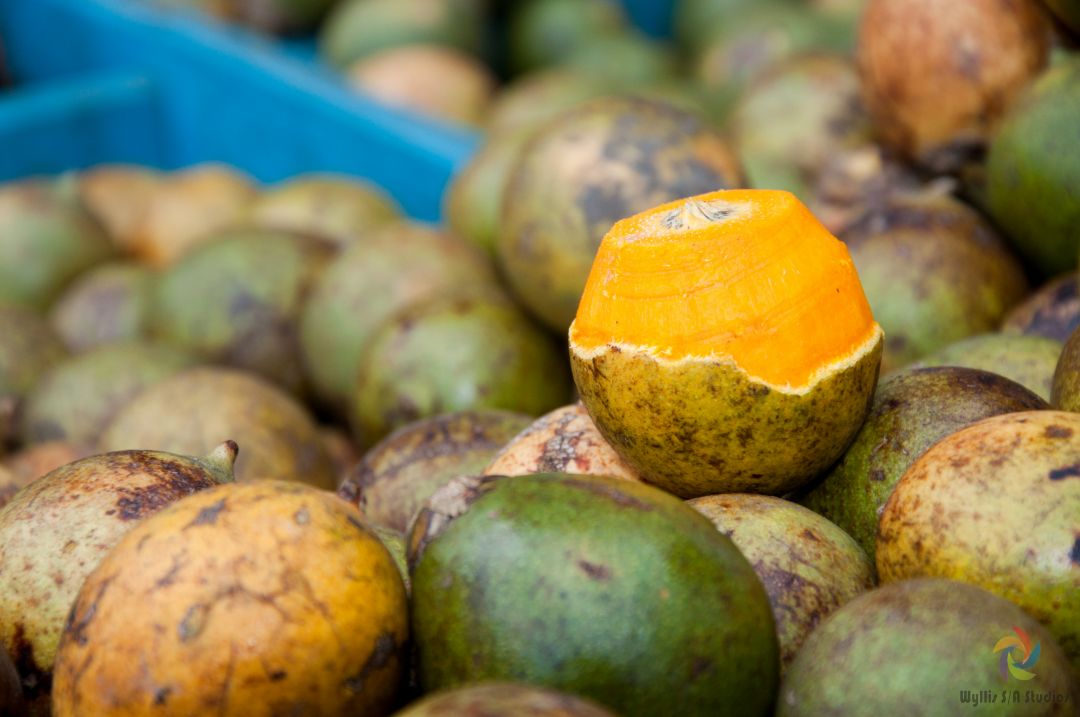 Você sabia que o Tucumã ajuda a prevenir o câncer? Confira os ...