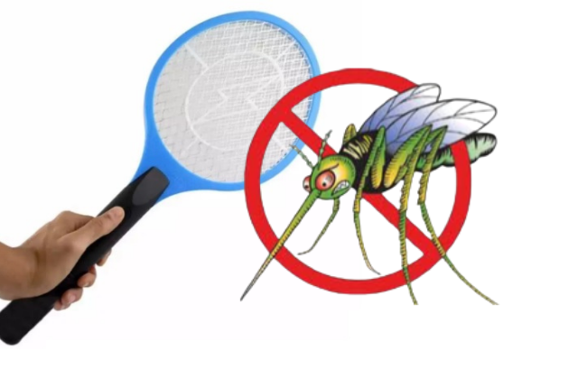 Portal Amazônia responde: Quanto tempo vive um carapanã? - Portal Amazônia