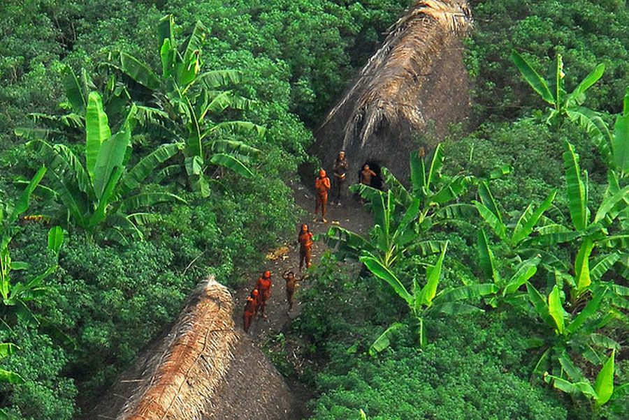 Conheça o Vale do Javari, terra indígena com maior concentração de ...