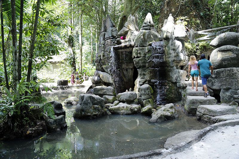 Bosque Rodrigues Alves: um pedaço da floresta na ‘Cidade das Mangueiras ...