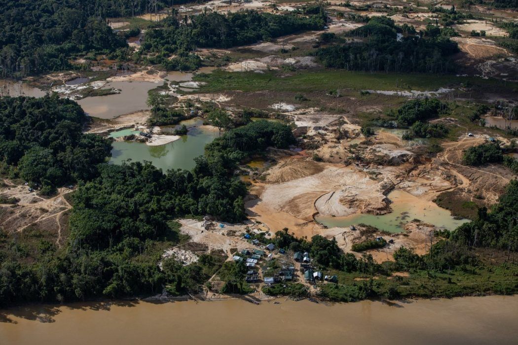 Crise Humanitária Yanomami: o que é? O que fazer? - Portal Amazônia