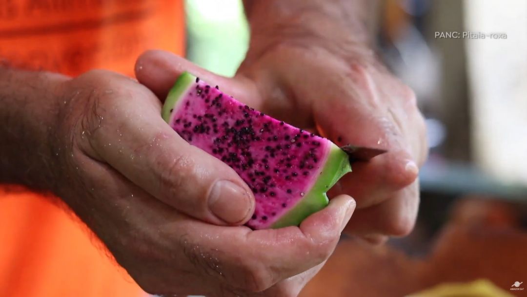 Confira uma receita prática de molho com casca de pitaya roxa - Portal ...