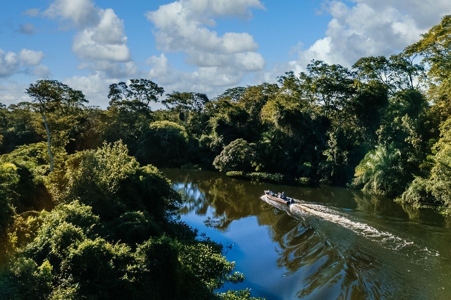 Maravilhas da Amazônia: 8 itens que só podem ser encontrados na região ...