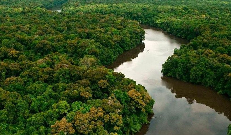 Mapa mostra levantamento da biomassa da Floresta Amazônica - Portal ...