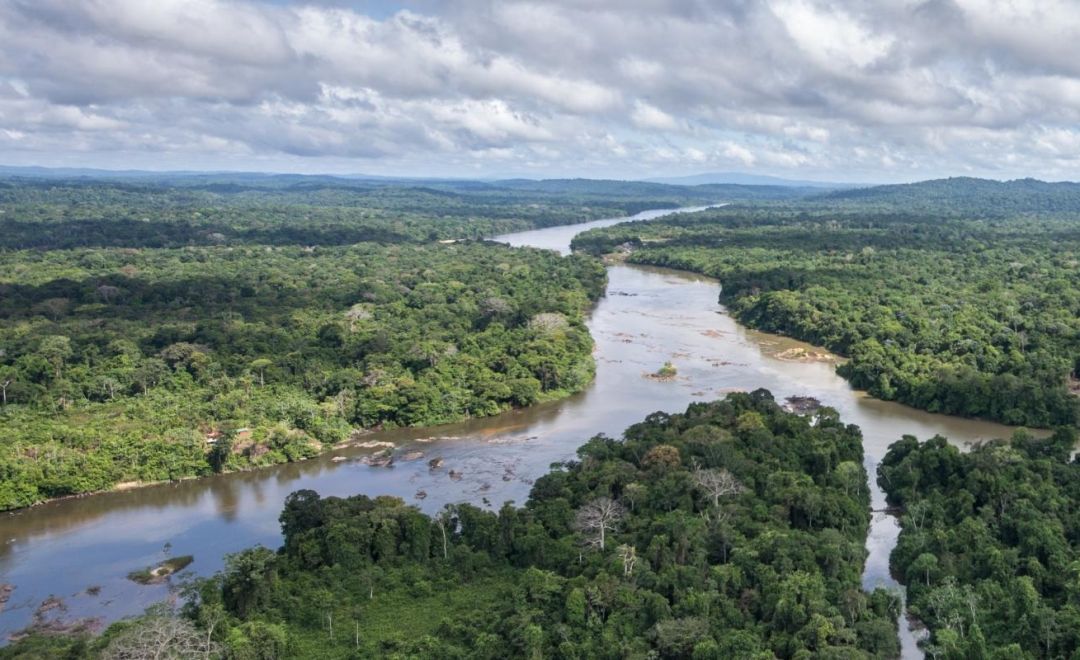 Conheça o Parque Amazônico que ocupa 40% da Guiana Francesa - Portal ...