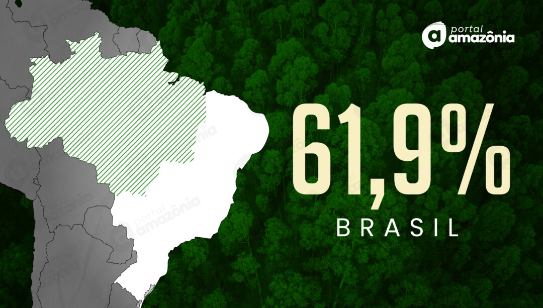 Portal Amazônia responde: qual a porcentagem que os países da Amazônia ...