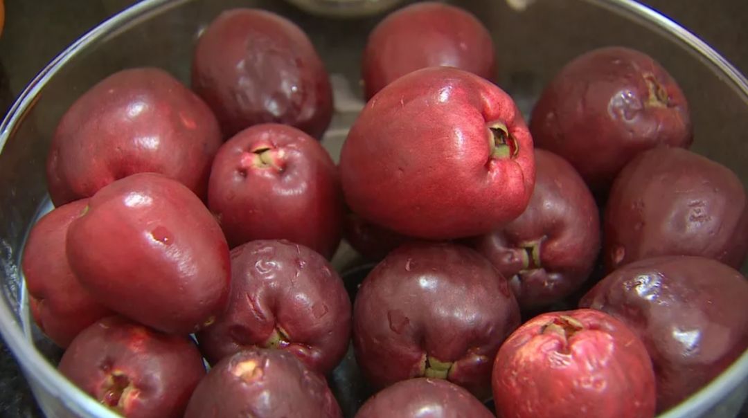 Época de jambo na região amazônica: saiba quais são os benefícios para ...