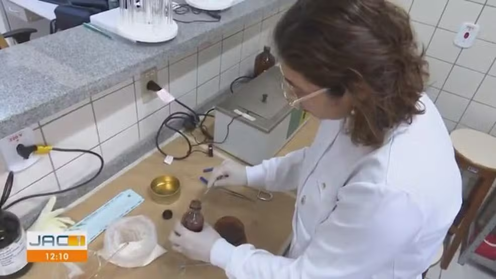 Startup cria pomada cicatrizante para pets a partir de produtos ...