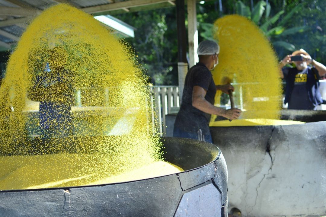 Farinha de Uarini é declarada Patrimônio Cultural do Amazonas - Portal ...