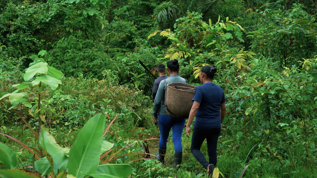 Indígenas Tuyuka do Amazonas são protagonistas em curta-metragem ...