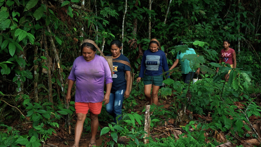 Indígenas Tuyuka do Amazonas são protagonistas em curta-metragem ...