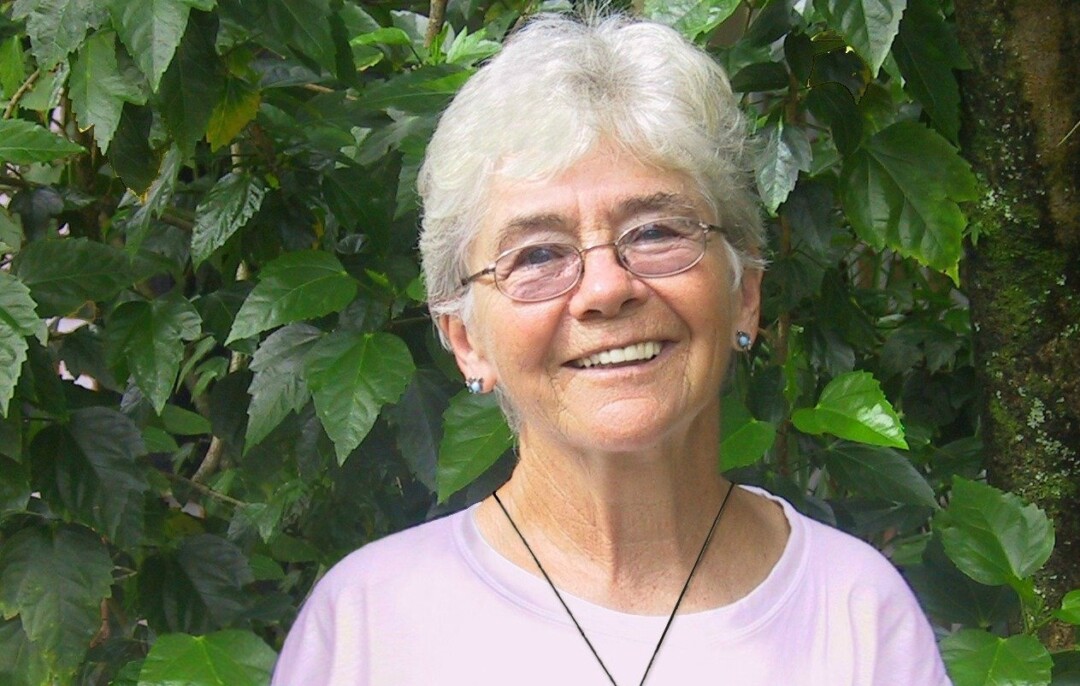 Quem foi a Irmã Dorothy Stang? - Portal Amazônia