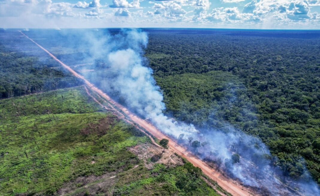 Mapa interativo apresenta dados sobre a BR-319, rodovia que corta a ...