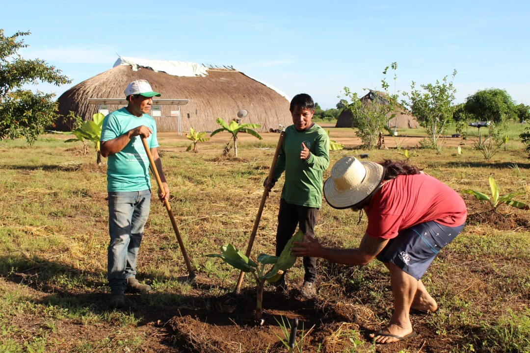 Projeto visa integrar saberes indígenas com tecnologias de produção ...