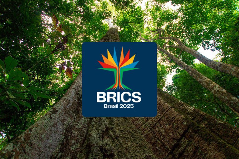 Árvore amazônica, Samaúma é escolhida como logomarca do Brics Brasil - Portal Amazônia