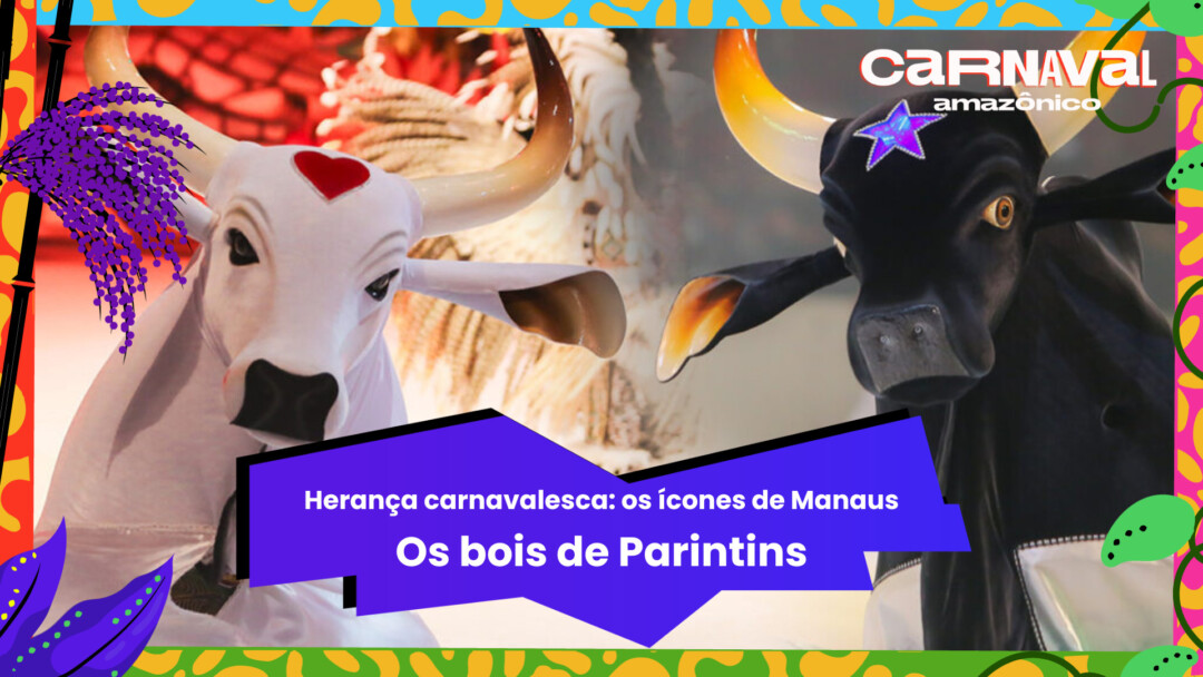 Carnaval com boi-bumbá: os bois Caprichoso e Garantido mantém vivo o ...