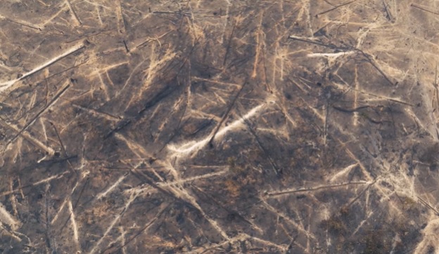 Greenpeace mostra impacto da crise climática em documentário