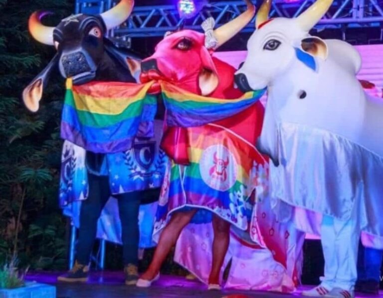 Boi Boiola, um dos bumbás da diversidade em Parintins