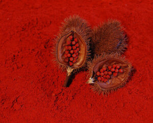 Conheça como é feito o colorau de urucum, popular tempero da culinária ...
