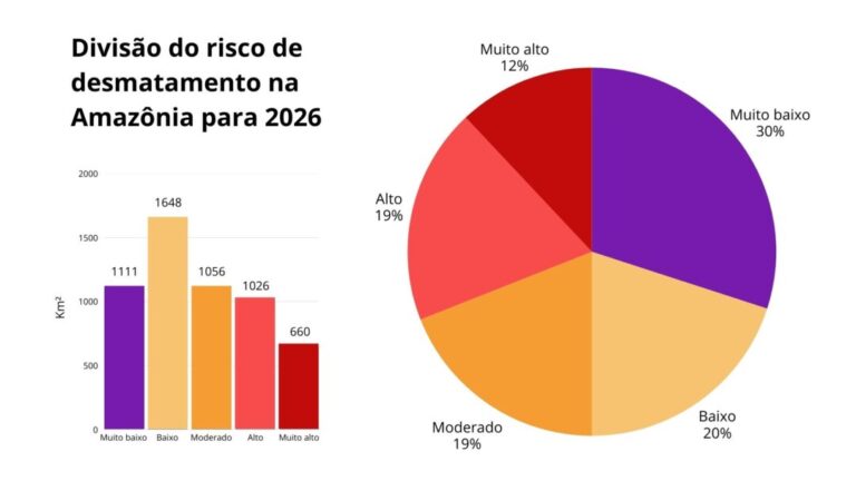 IA aponta 5,5 mil km² com risco de desmatamento na Amazônia