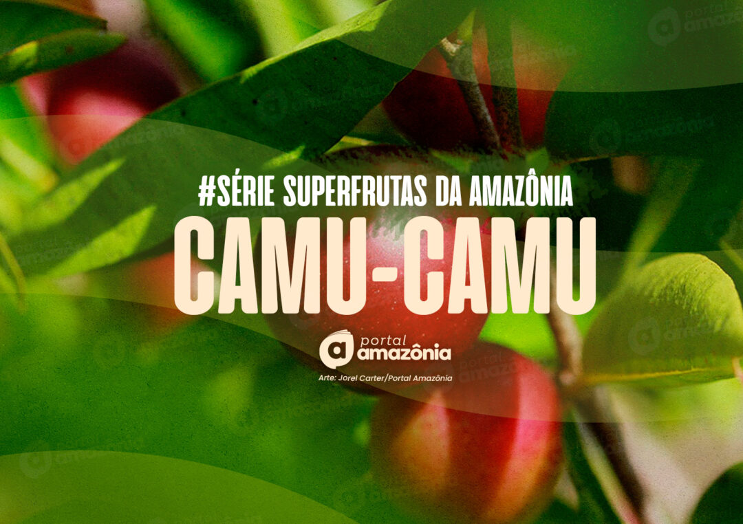 Superfrutas da Amazônia: Camu-camu, campeã da vitamina C