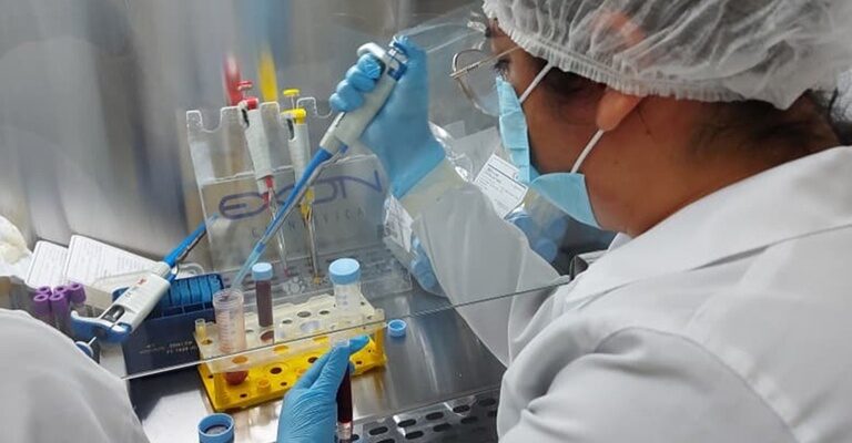 Zika: pesquisa une nanotecnologia e compostos da Amazônia contra a doença