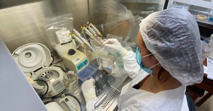 Zika: pesquisa une nanotecnologia e compostos da Amazônia contra a doença